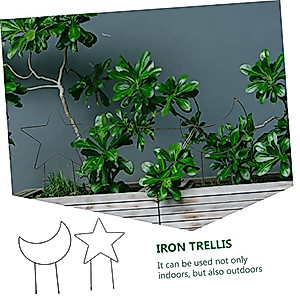 COHEALI 2pcs Flower Arrangement Roses Plants Tomato Plants Flowers Plants Flowers Trellis Climbing Plant Support Plant Support Ring Flower Support Rack Plant Stem Support Iron Trellis Vine