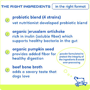 Native Pet Beef Bone Broth for Dogs (9.5 oz) & Probiotic for Dogs (16.4 oz.)
