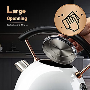 Pukomc Retro Electric Kettle Stainless Steel 1.8L Tea Kettle, Hot Water Boiler with Temperature Gauge, Led Light, Fast Boiling, Auto Shut-Off&Boil-Dry Protection (White)