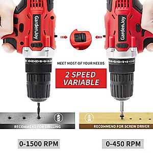 GardenJoy Cordless Power Drill Set: 21V Electric Drill with Fast Charger 3/8-Inch Keyless Chuck 2 Variable Speed 24+1 Torque Setting and 30pcs Drill/Driver Bits with Power Tool Bag