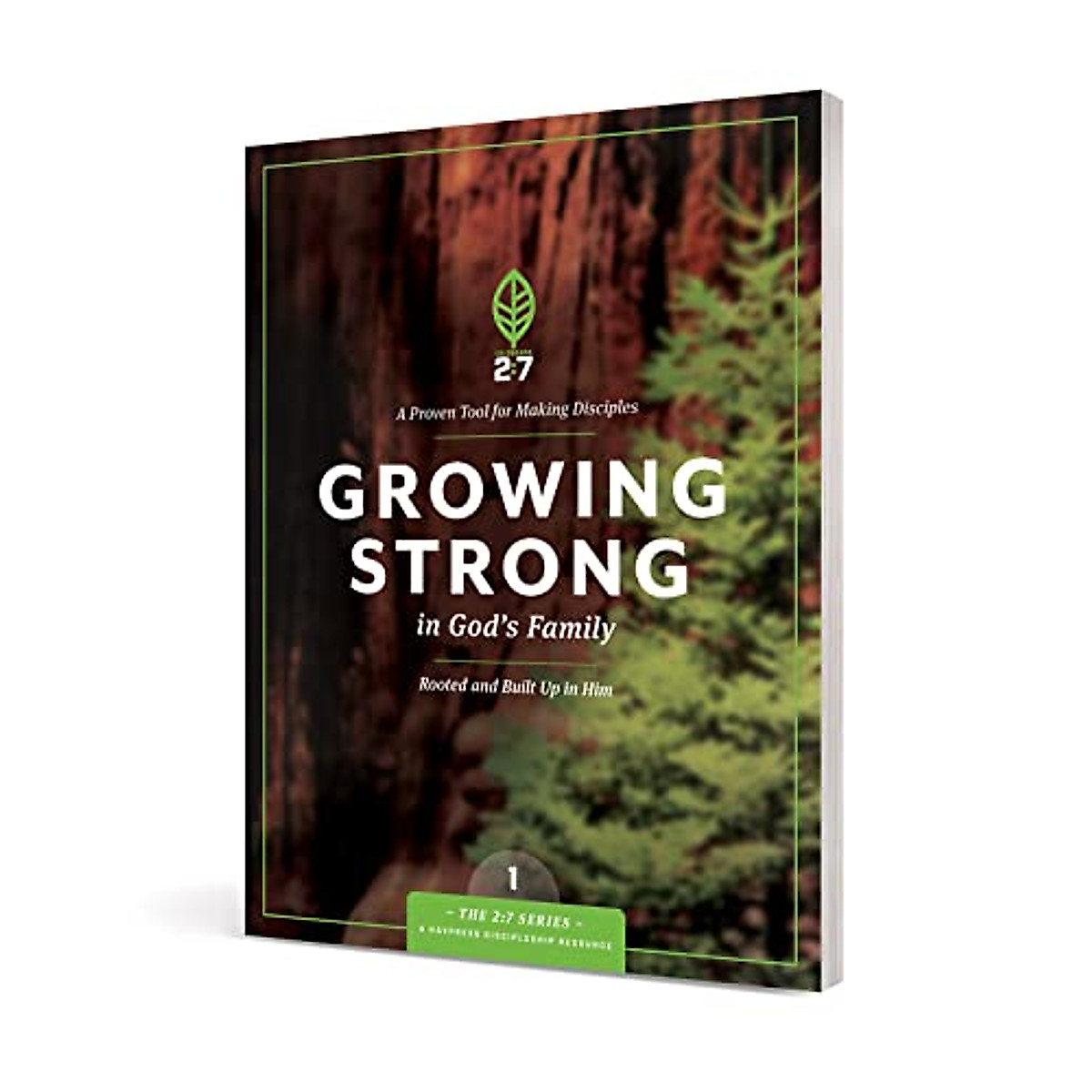 Growing Strong in God's Family: Rooted and Built Up in Him (The 2:7 Series)