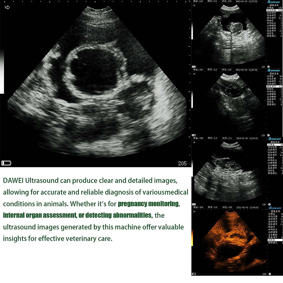 DAWEI Veterinary Ultrasound Machine for Pregnancy Portable Vet Handheld Scanner B-Ultra Sound Lightweight Ultrasound with 3.5Mhz Waterproof Probe for Pig,Sheep,Dog use