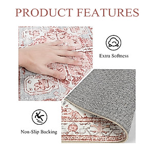 Lahome Boho Pink Rugs for Bedroom Girls, 3x5 Non Slip Carpet for Living Room, Washable Vintage Medallion Accent Throw Rugs with Rubber Backing Carpet for Entryway Kitchen Office Dining Room