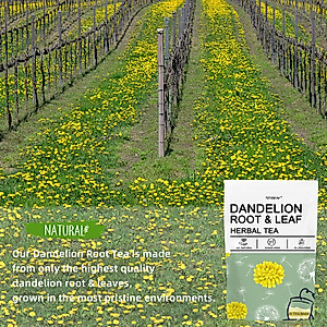 TZTZBOM Natural Premium Dandelion Root Tea - Energizing Dandelion Tea Helps Boost Immunity & Body Cleanse (20 Tea Bags)