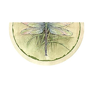 Thirstystone Stoneware Coaster Set, Dragonfly
