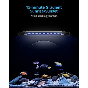 NICREW ClassicLED Gen 2 Aquarium Light, Dimmable LED Fish Tank Light with 2-Channel Control, White and Blue LEDs, High Output, Size 18 to 24 Inch, 15 Watts