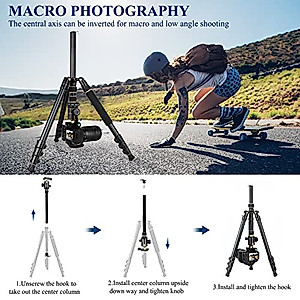 Tripod for Camera, VICTIV Heavy Duty Camera Tripod Monopod, Aluminum Travel Tripod for DSLR, Professional Tripod Stand with Strong Locking Ball Head and 2 Aluminum Quick Release Plate - Gold