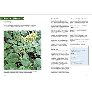 Northeast Medicinal Plants: Identify, Harvest, and Use 111 Wild Herbs for Health and Wellness (Medicinal Plants Series)