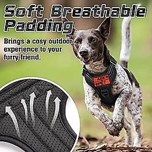 rabbitgoo Dog Harness No Pull, Military Dog Harness for Large Dogs with Handle & Molle, Easy Control Service Dog Vest Harness Training Walking, Adjustable Reflective Tactical Pet Harness, Black, L