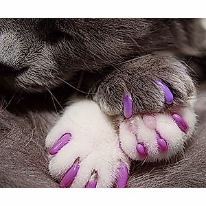 Kitty Caps Nail Caps for Cats | Safe, Stylish & Humane Alternative to Declawing | Stops Snags and Scratches, Medium (9-13 lbs), Black with Gray Tips & Baby Blue