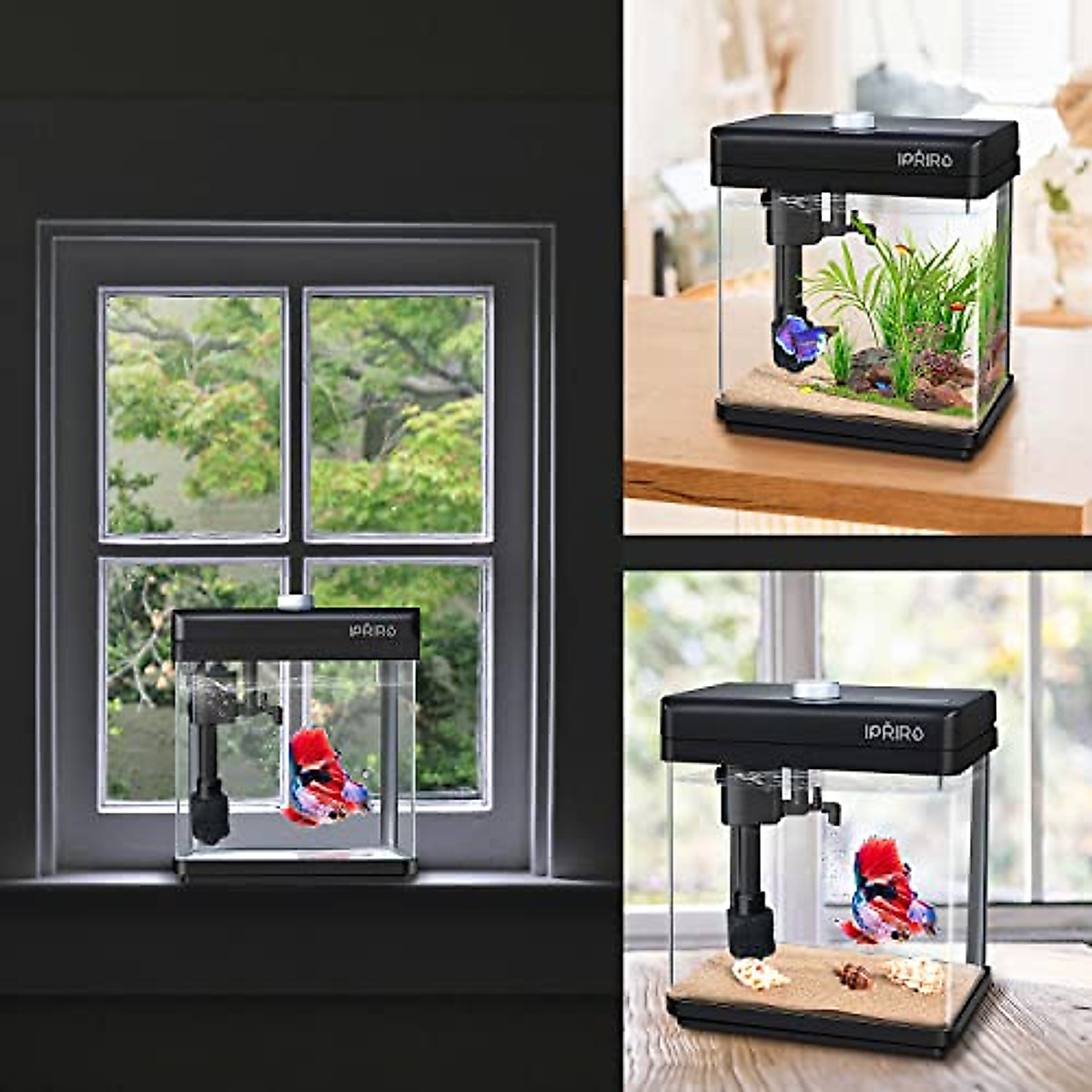 iPriro Glass Betta Aquarium Starter Kits Fish Tank with LED Light and Temp Display 1.5 Gallon, Top Filtration, Gravel Cleaners, Cleaner Tool 4 in 1