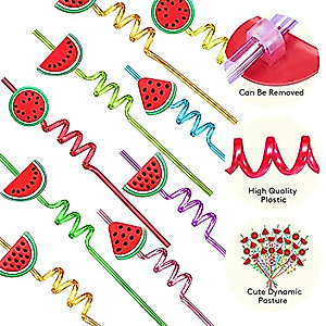 24 Watermelon Fruit Drinking Straws with 2 PCS Straws Cleaning Brush for One in A Melon Party Supplies Watermelon Birthday Party Supplies Decorations Favors