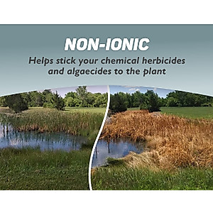 Plex Mate Aquatic Surfactant for Herbicides – Quart- Non-Ionic, Increase Product Coverage, Increase Product Penetration, Increase Product Effectiveness