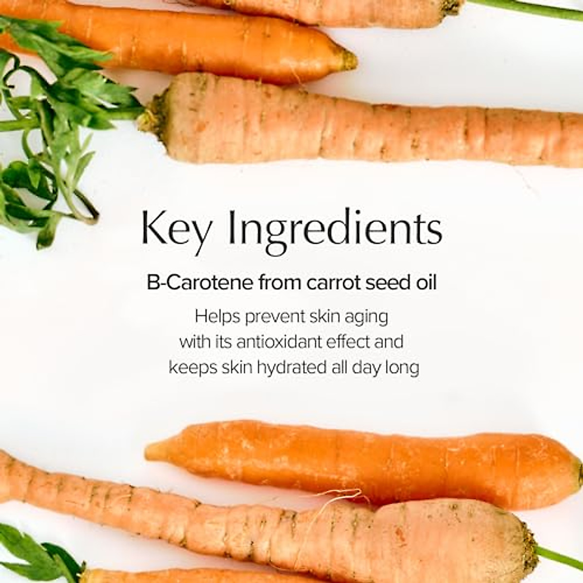 SKINFOOD Carrot Carotene Calming Water Pad 250g (8.81 oz.) 60 Sheets- Redness Relief Soothing Facial Toner Pads for Sensitive Skin
