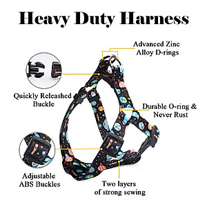 QQPETS Dog Harness Leash Set Adjustable Heavy Duty No Pull Halter Harnesses for Small Medium Large Breed Dogs Back Clip Anti-Twist Perfect for Walking (S(14"-20" Chest Girth), Space)