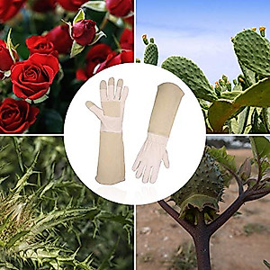 Long Sleeve Leather Gardening Gloves,Puncture resistant,Breathable Pigskin Leather Gauntlet,Rose Pruning Floral Gauntlet Garden Gloves For Women and Men (Medium, Beige)