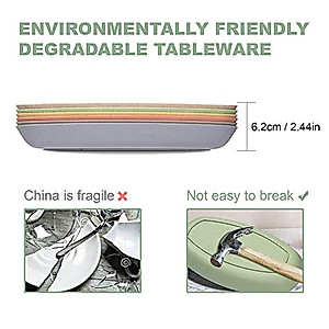 Hobein 6 Pack 11 inch Wheat Straw Dinner Plates - Dishwasher & Microwave Safe Lunch Plates Reusable Eco-friendly Lightweight Unbreakable Dirt-resistant Easy Clean