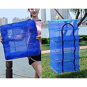 RnneLeen Hanging Drying Net Foldable Drying Rack Net Dryer 19.7"x19.7"x37.4" 6 Layer Folding Fish Mesh Collapsible Dry Net with Zippers for Drying Seeds Fish Vegetables Fruit Herb Food