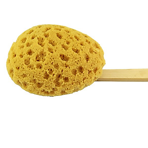 Shower Body Brush Sea Sponge Long Wooden Handle Back Scrubber Bath Brush Gentle Exfoliating Lotion Applicator
