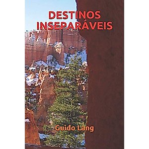 Destinos Inseparáveis (Portuguese Edition)