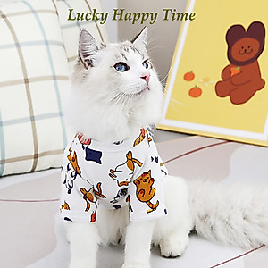 2 Pack Cute Printed Dog Clothes Soft Warm Boy Girl Puppy Shirt Comfort Cat Costume for Small Medium Dogs Cats, Machine Washable Dog Outfits, Large.