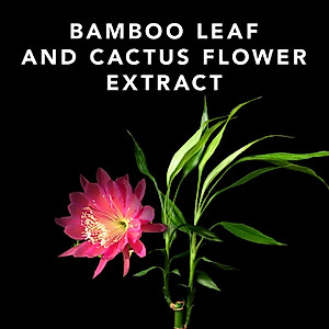 Sebastian Volupt Spray, Volume-Building Spray Gel, 5.07 fl oz (Packaging may vary )