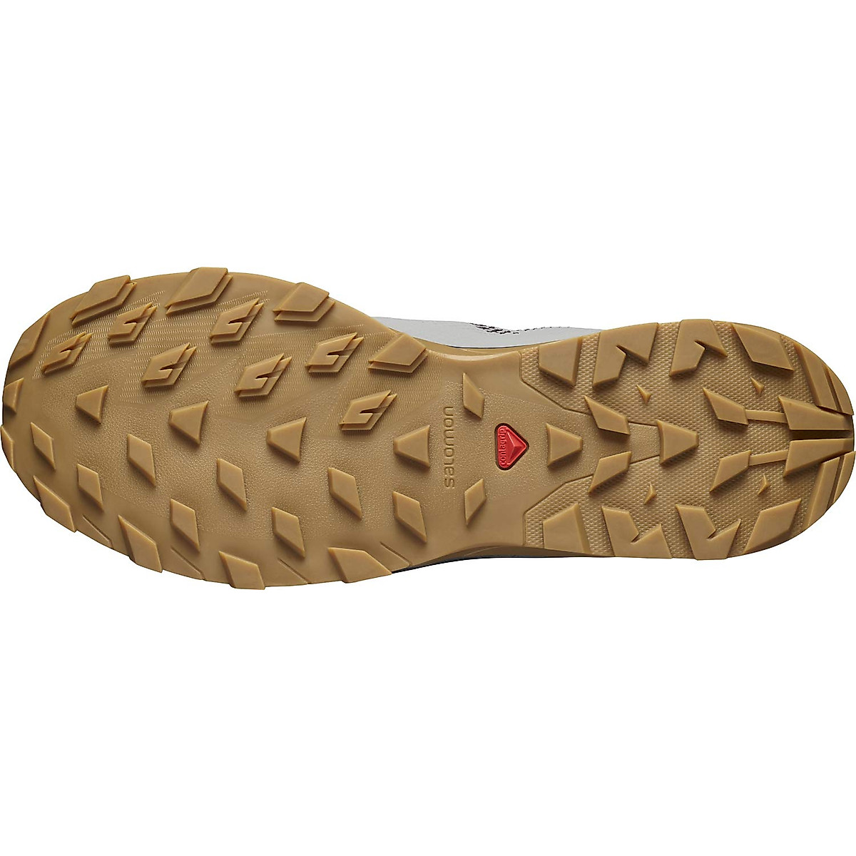 Salomon Outline Gore-TEX Hiking Shoes for Men, Frost Gray/Black/Burnt Brick, 7