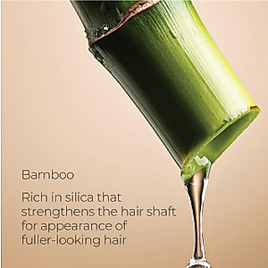 L'ANZA Healing Volume Thickening Shampoo, Boosts Shine, Volume, and Thickness for Fine and Flat Hair, Rich with Bamboo Bodifying Complex and Keratin (10.1 Fl Oz)