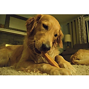 EcoKind Himalayan Gold Yak Cheese Dog Chew for Large Dogs, Healthy Dog Treats, Odorless, Long Lasting Dog Bones for Dogs, Rawhide Free, Made in The Himalayans, Large (Pack of 1)