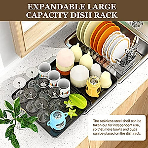 Dish Drying Rack- Space-Saving Expandable Large Capacity Dish Rack for Kitchen Counter, Kitchen Dish Drainer with Utensil Holder, Drying Rack for Kitchen Counter Dishes, Knives, Spoons, Forks (白蜡虫可