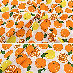 10PCS Fruit Cotton Fabric Bundles 20 x 20 Inch Printed Fat Quarter Fabric Pre-Cut Squares Sheets Fabric for Patchwork Sewing DIY Crafting Quilting
