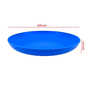 AOYITE 8-inch Plastic Plates Reusable, Lightweight Dinner Plate, BPA Free, Dishwasher Safe & Microwaveable, Dinnerware set of 6 Coastal Color