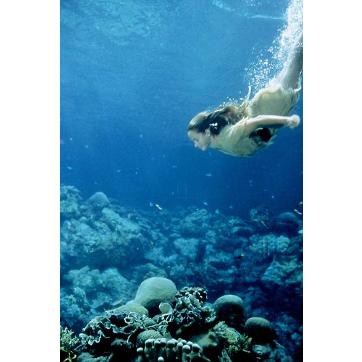 Ocean Girl - Complete Series - 18-DVD Box Set ( Ocean Girl (78 Episodes) ) [ NON-USA FORMAT, PAL, Reg.2 Import - Germany ]