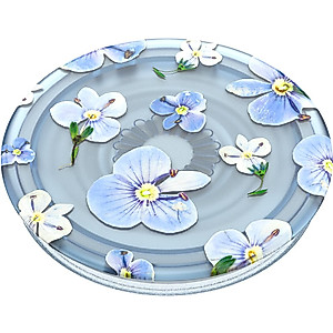 PopSockets Plant-Based Phone Grip with Expanding Kickstand, Eco-Friendly PopSockets for Phone - Translucent Blue Fields