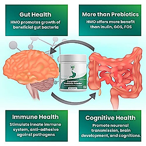 Layer Origin | PureHMO Human Milk Oligosaccharide (HMO 2'-FL) Prebiotic Powder - Feed 200 Billion Probiotics/Scoop, 45 Servings