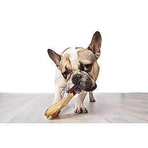 Yummy Dog Chews – Premium Cow Ears for Dogs – Long Lasting Pet Chew Treats – Sourced from Grass Fed Cattle – Rich Taste & Chewy Texture for All Breeds (6 Ears)