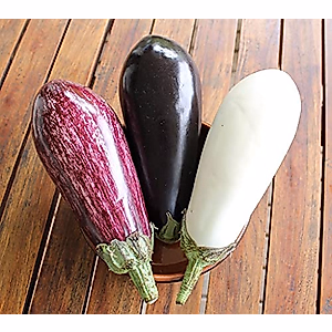 Seeds4planting - Seeds Eggplant Aubergine Long Mix Rare Thai Heirloom Vegetable Non GMO