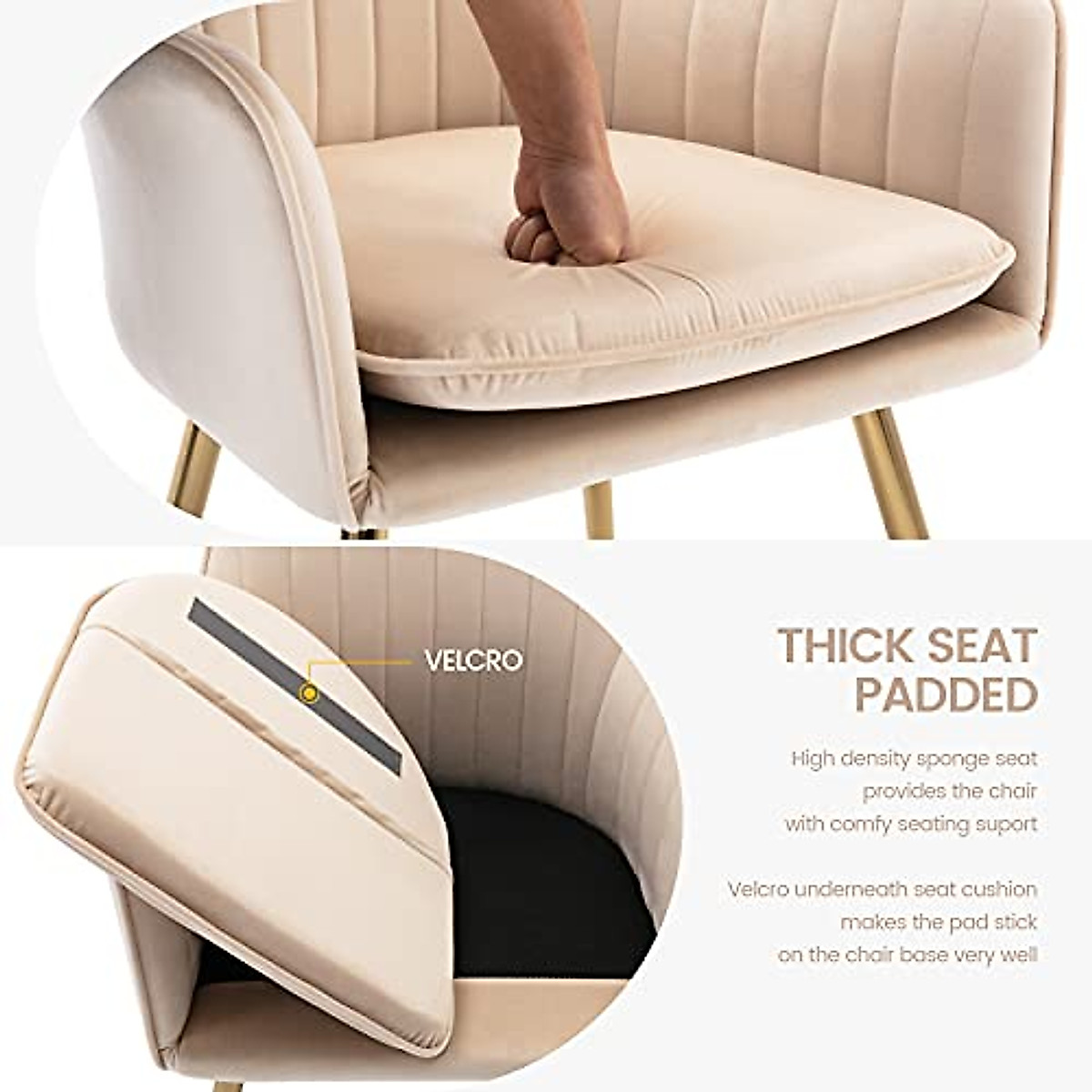Gold Thumb Velvet Dinning Chair Set of 2 Mid-Back Accent Chair Modern Leisure Armchair with Gold Plating Legs Upholstered Living Room Chair (Beige-2PCS)