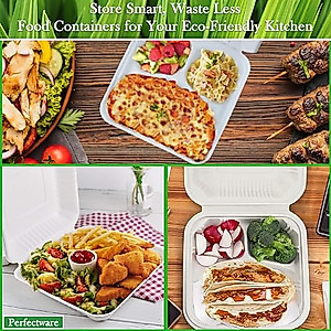 Perfectware 100% Compostable 3 Comp Take Out Food Containers 9x9". 25 Containers, Natural Disposable Bagasse, Eco-Friendly Biodegradable Made of Sugar Cane, Green (PW3comptbagasse-25ct)