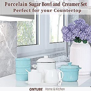 ONTUBE Porcelain Sugar and Creamer with tray and Crystal Lid Set of 4, Silver