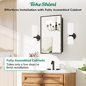 TokeShimi 16x24 Recessed Medicine Cabinet with Mirror Wall Mounted, Metal Beveled Mirror with Storage for Bathroom Vanity, Aluminum Alloy Medicine Cabinet Mirror Black 1 Door