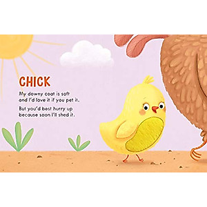 Baby Animals: A Touch and Feel Book - Children's Board Book - Educational