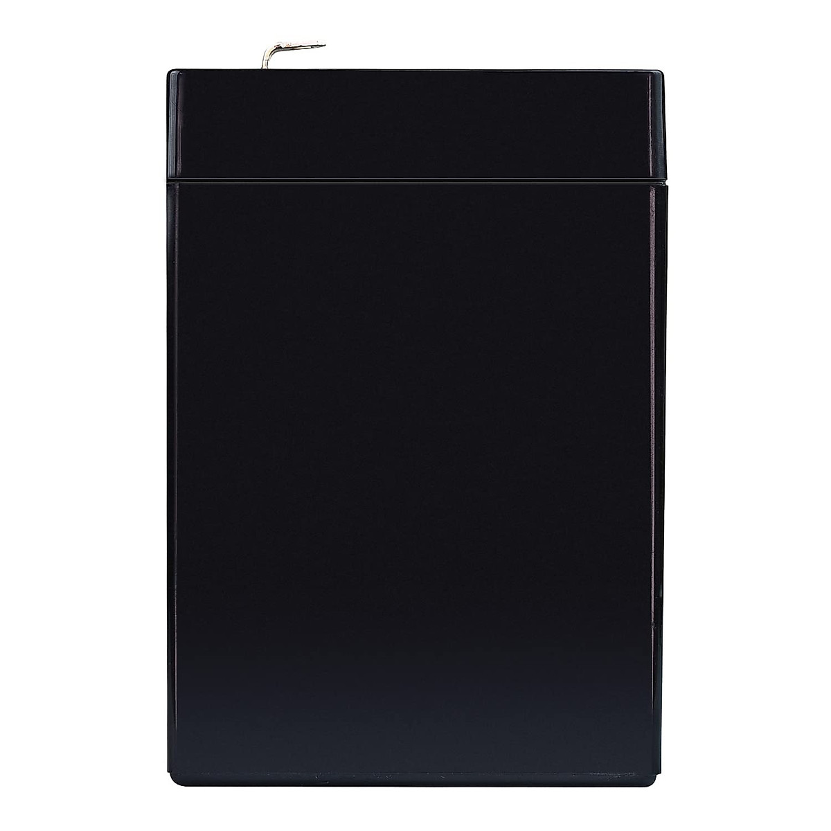 ExpertPower EXP1245 12V 4.5 Amp Rechargeable Battery for Security Systems