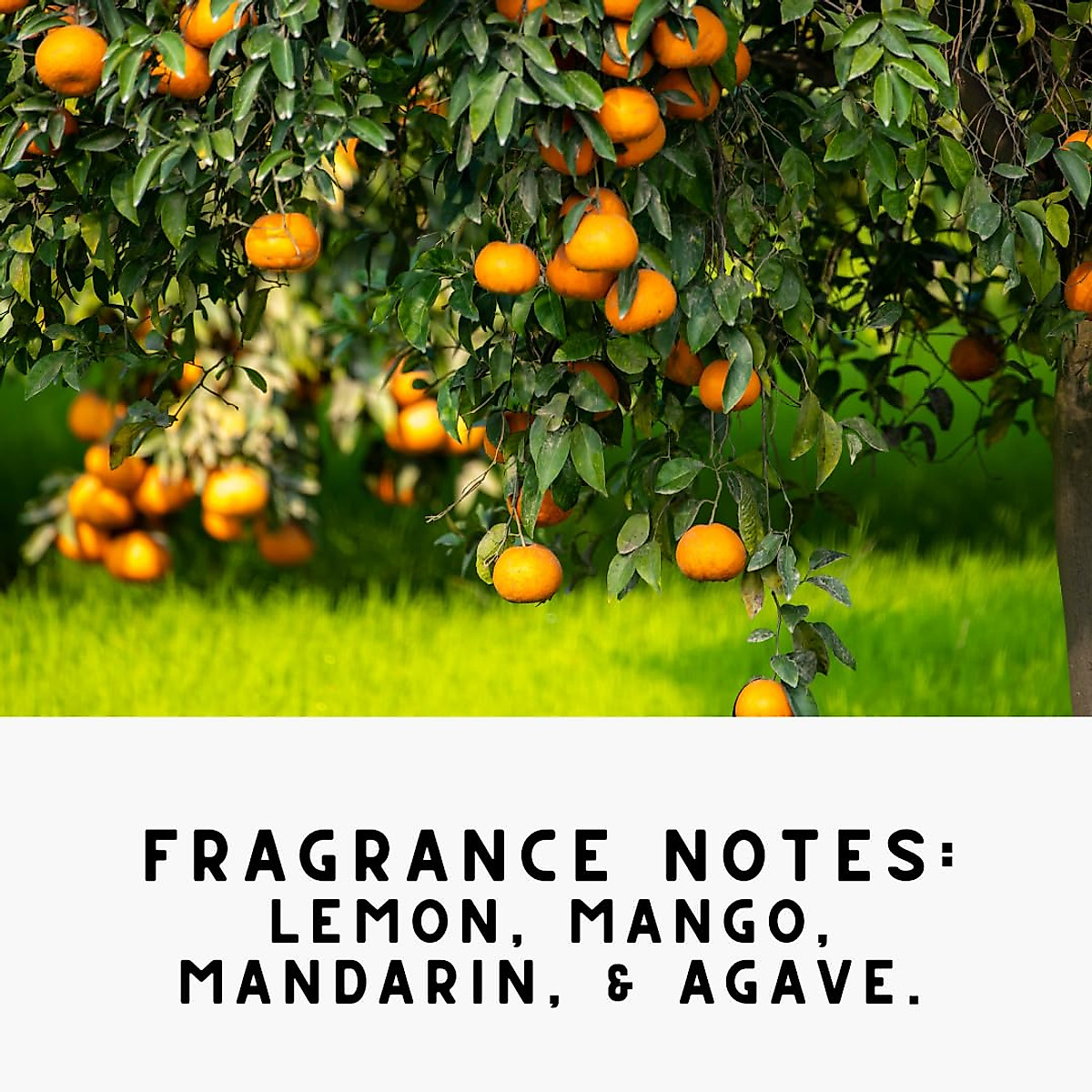 The Diamond Life Home "Citrus" Lemon & Mango Carpet Natural Refresher Powder, Mattress & Upholstery Freshener, Odor Eliminator, Deodorizer For Homes With Kids & Pets(2 Pack)