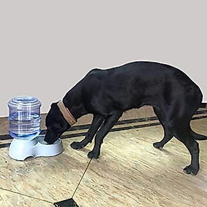 Liry Products Pet Water Dispenser Station Automatic Gravity Waterer Replenish Self-Dispensing Drinking Fountain Dog Cat Animal Bowl Dish Stand