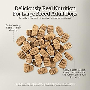 Now Fresh Grain-Free, Dry Dog Food, Real Meat and Fish, Turkey, Salmon and Duck Large Breed Adult Recipe, 12 lb Bag