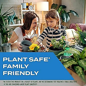 STEM Insect Spray for Indoor and Outdoor Plants, Kills Garden Insects, Plant Safe: Water Based, Botanical Insecticide, 12 oz (Pack of 1)