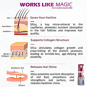 SHO Beauty 4-in-1 Silica & Vitamin B7 Biotin Hair Skin Nails & Bone Joint Vegan Supplements for Women & Men - Helps Boost Collagen Supporting Nail & Hair Regrowth, (60 Pills with Dispenser)