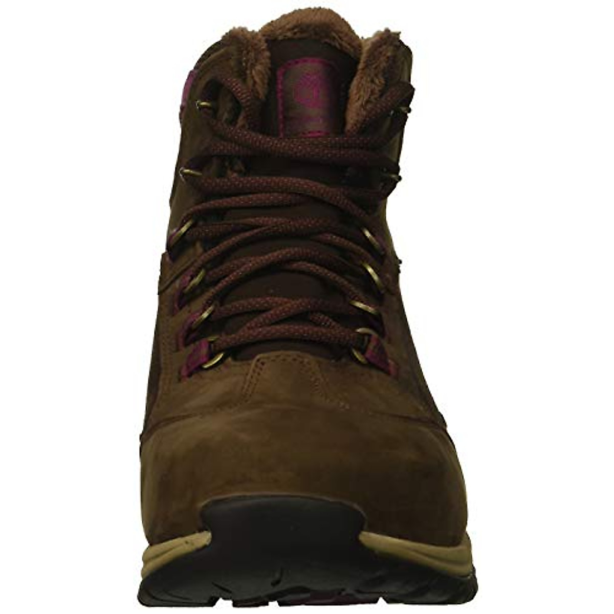 Timberland Women's MT. Maddsen Winter Waterproof Ins Hiking Boot, Dark Brown Nubuck, 9 M US