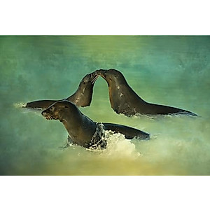 Generic Three Playing Sea Lions Fabric Panel - OCE-006, Panel Size is 13” X 8.5”, Quality Quilting Cotton